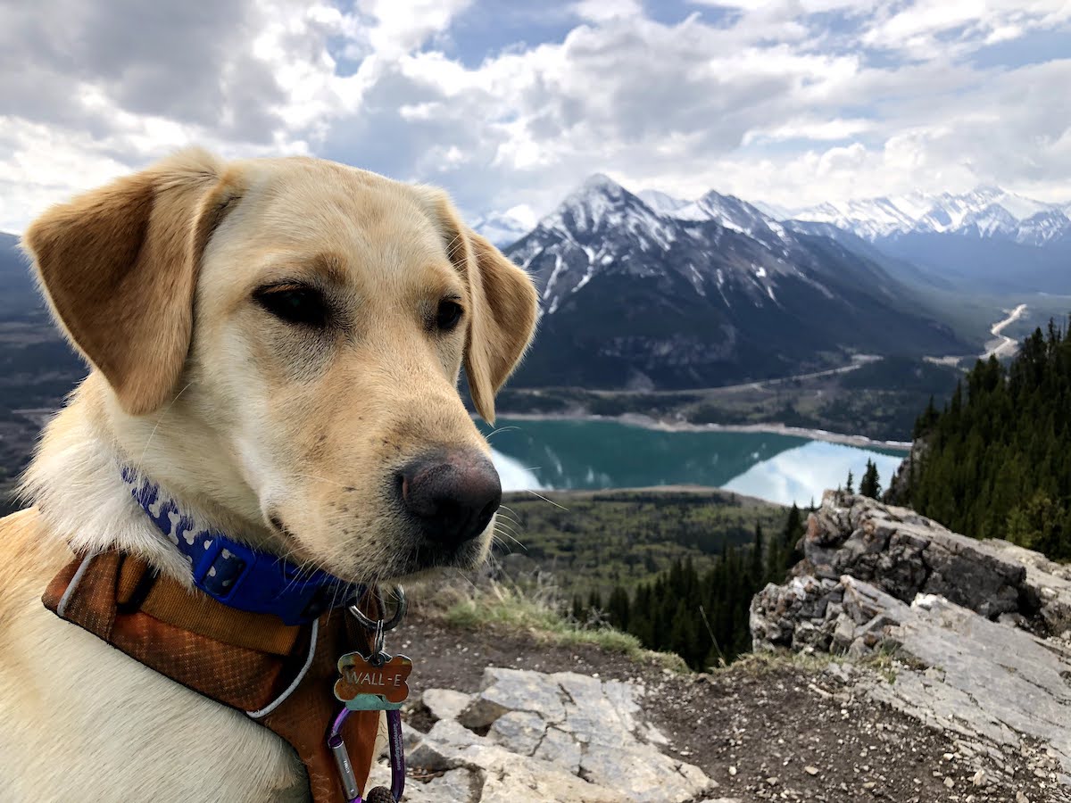 Prairie View and Jewell Pass (Yates Mountain), Kananaskis | Fit Frog ...
