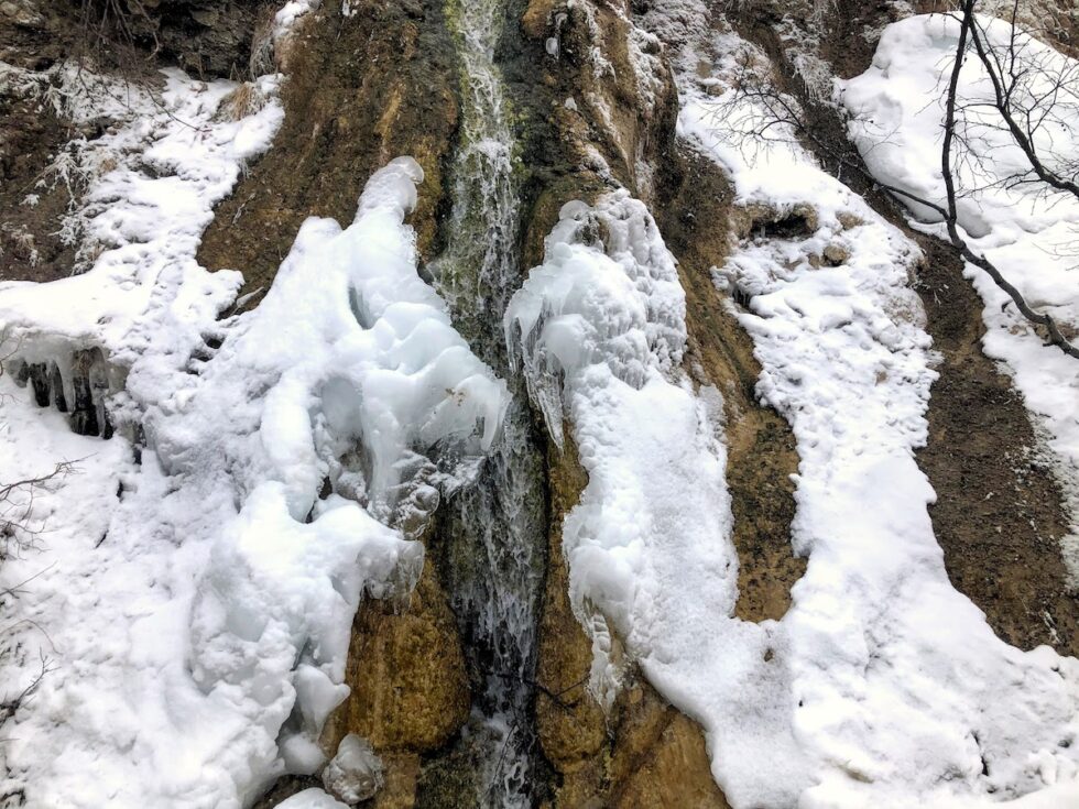 Bowmont Park and Waterfall Valley, NW | Fit Frog Adventures