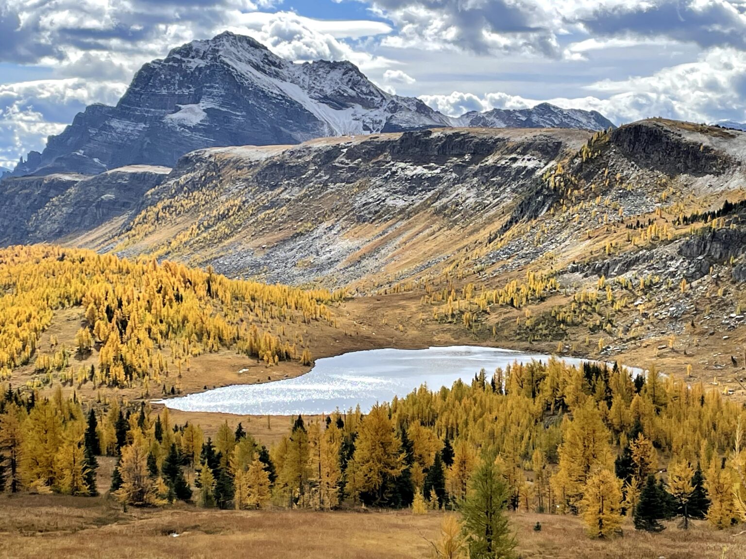 Healy & Simpson’s Pass Larch, Banff National Park | Fit Frog Adventures