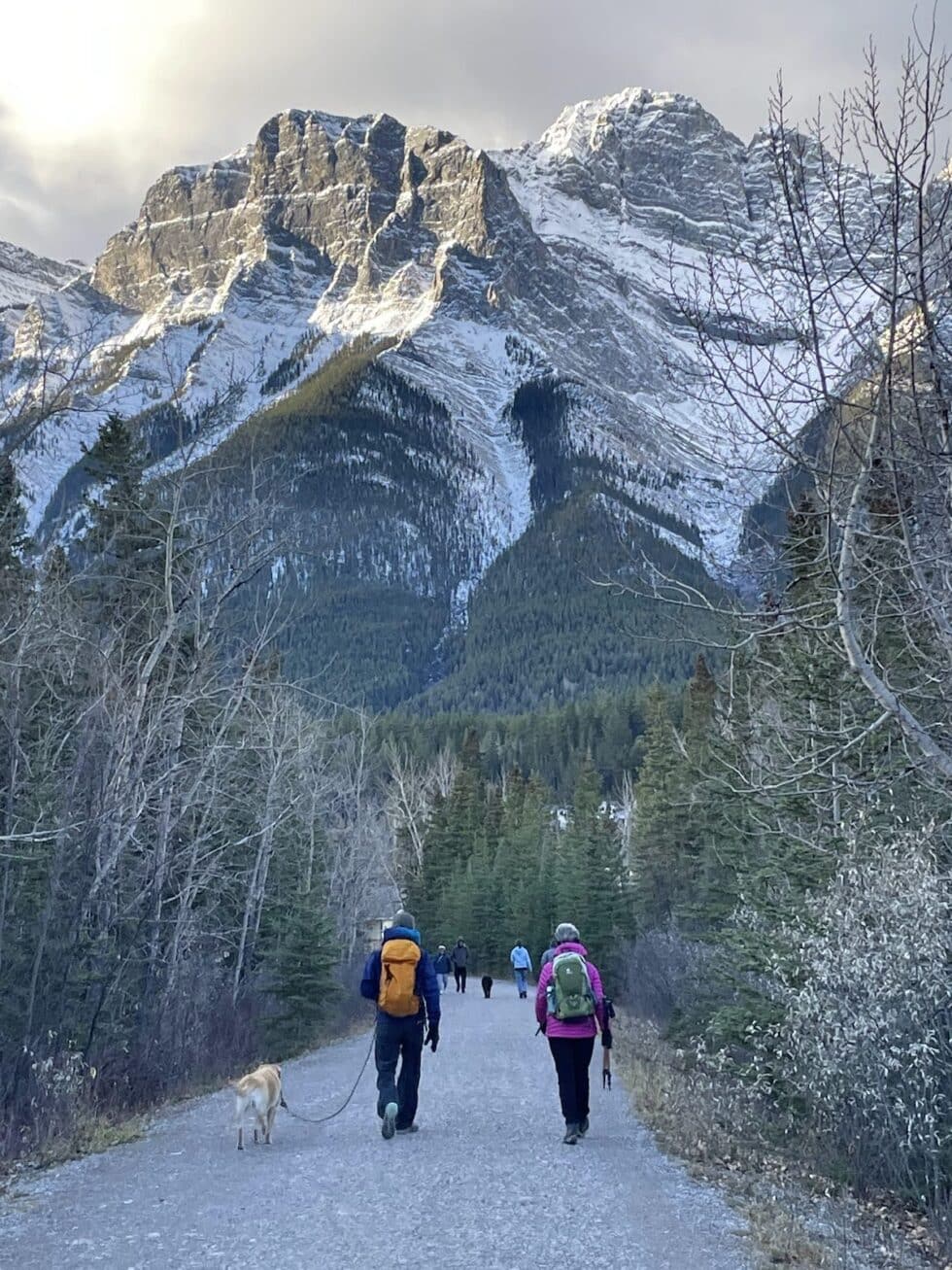 Canmore Policeman’s Creek, neighbourhoods, Highline Trail Café Loop ...