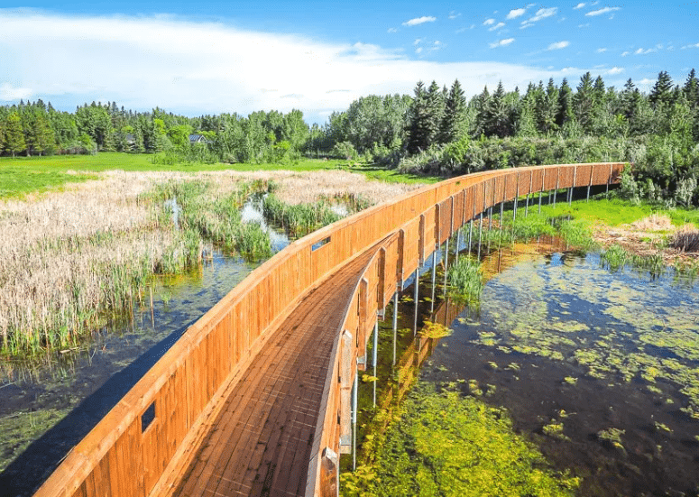 Red Deer Gaetz lakes, river trails and downtown cafe trek | Fit Frog ...