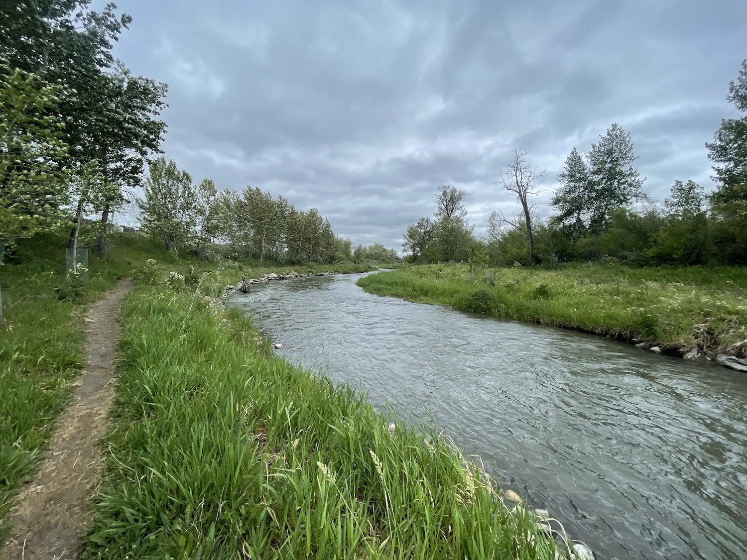 City Walk: Quarry Park Canals & the Bow River, SE | Fit Frog Adventures